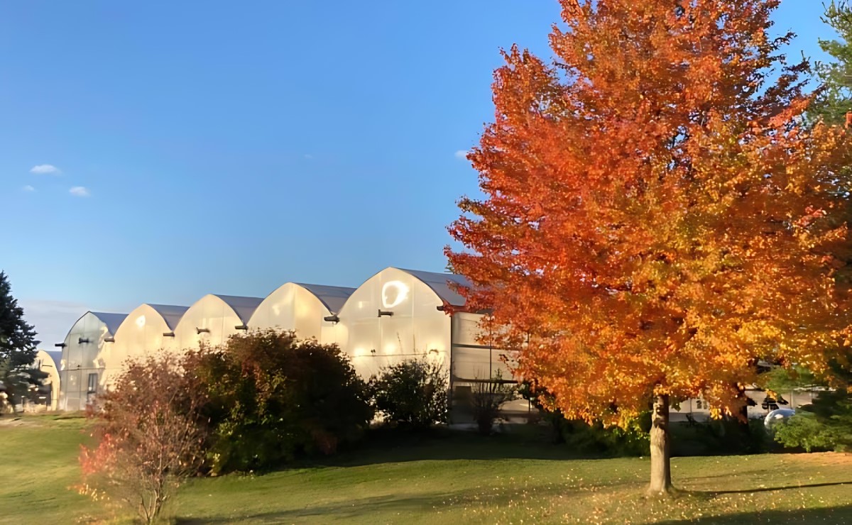 Home - Sunnyfield Greenhouse & Garden Center